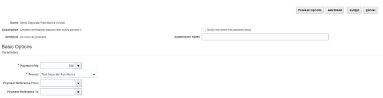 Customize Oracle Disbursement Separate Remittance Advice Formats Report | Oracleshare